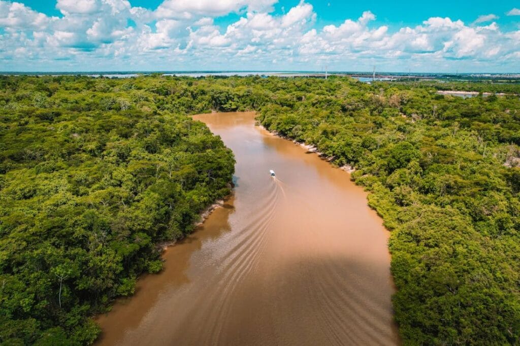 Top 10 Largest Rivers in the World